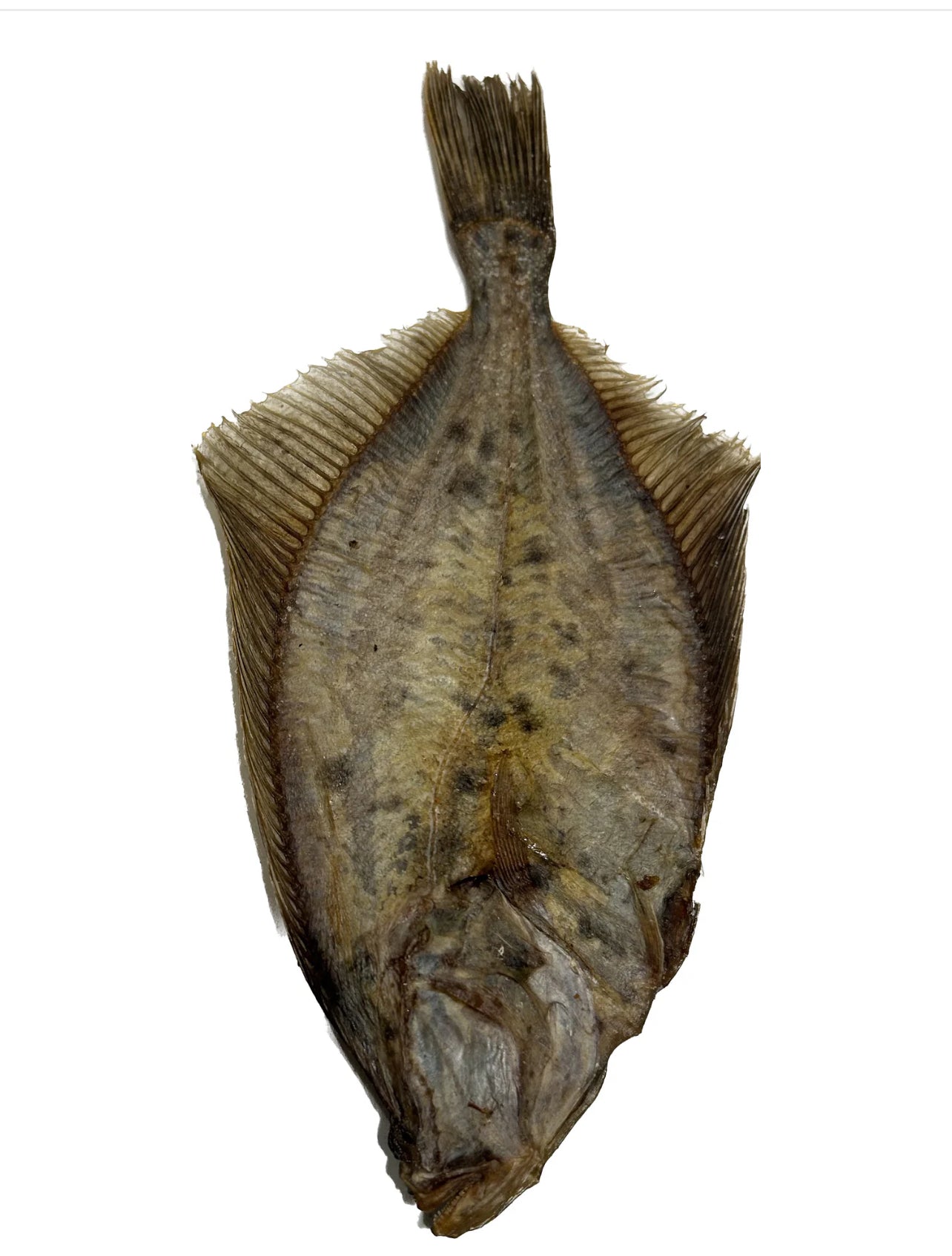Whole Flounder Fish – Beli’s Bites